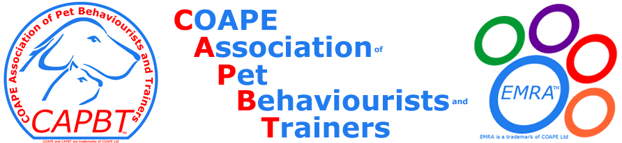 Qualifikation – Happy Dog Happy Owner